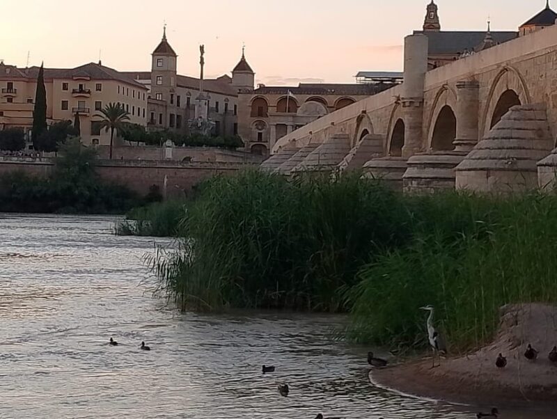 Córdoba: Tour of the three cultures to see the city in a day - Why This Tour Offers Great Value