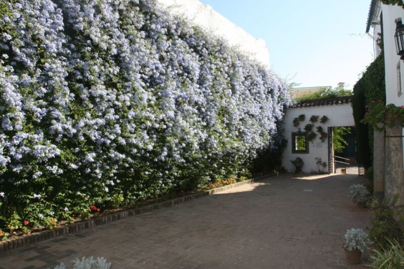 Córdoba: Viana Palace Gardens and Patios Entry Ticket - Introduction