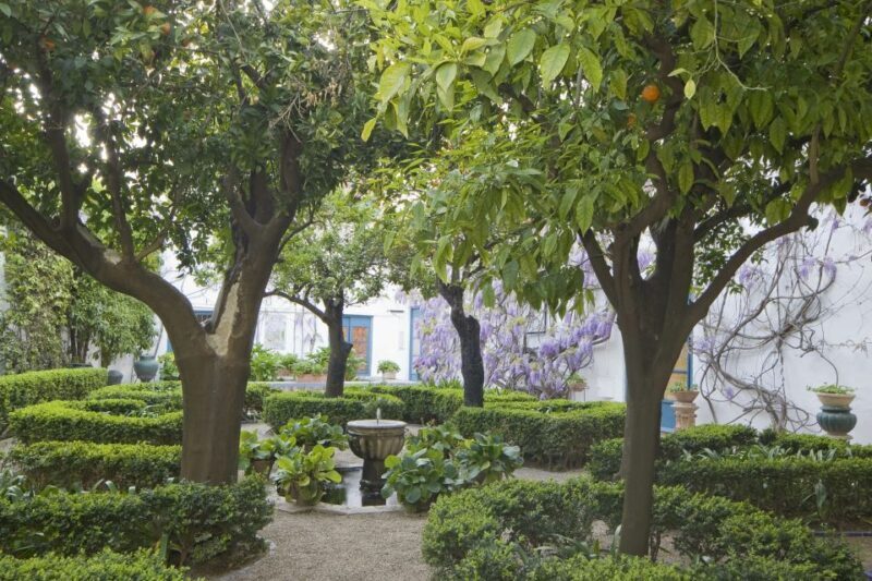 Córdoba: Viana Palace Gardens and Patios Entry Ticket - What to Expect During Your Visit