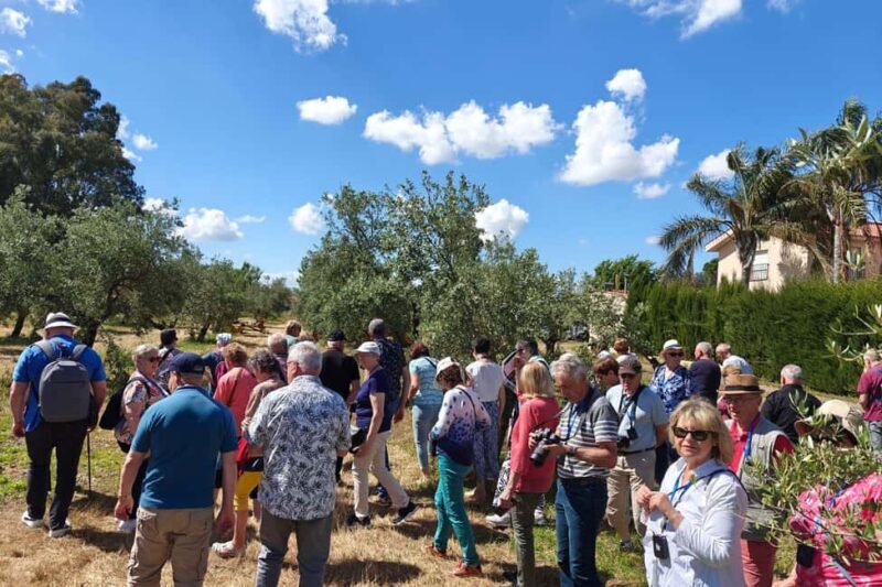 Córdoba: Visit a family organic olive grove with tasting - An In-Depth Look at the Experience