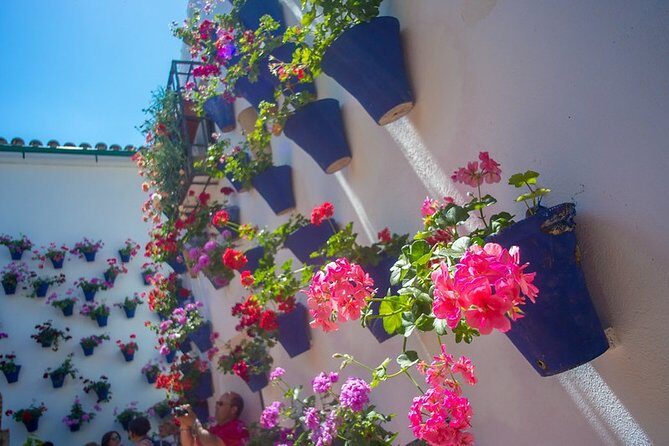 Cordoba's Authentic Patios: 2-Hour Tour with Tickets - The Tour Itinerary: What to Expect from Start to Finish