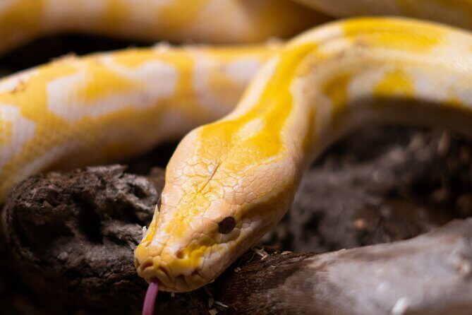 Corfu Aquarium Ticket with Tour Included - Inside the Aquarium: What You’ll See and Learn