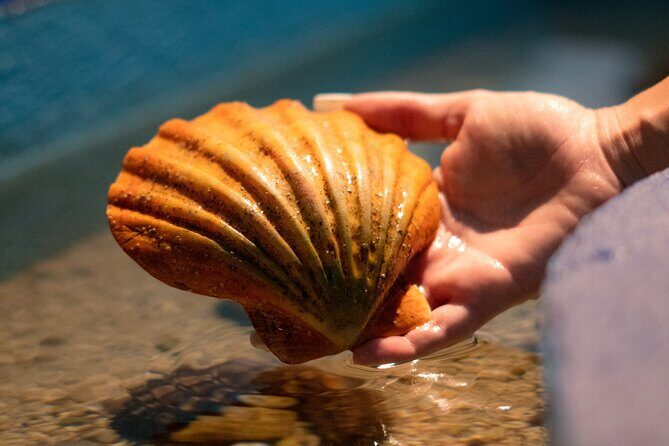 Corfu Aquarium Ticket with Tour Included - The Sum Up: Is the Corfu Aquarium Tour Worth It?