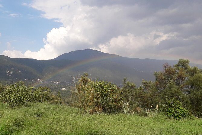 Corfu Countryside Hiking Tour - Why This Tour Offers Great Value