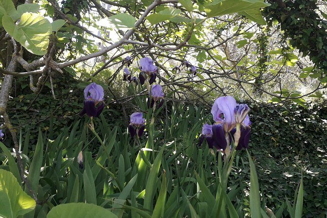 Corfu from Above: Hiking at the Highest Peak of Corfu - Practical Details & Tips