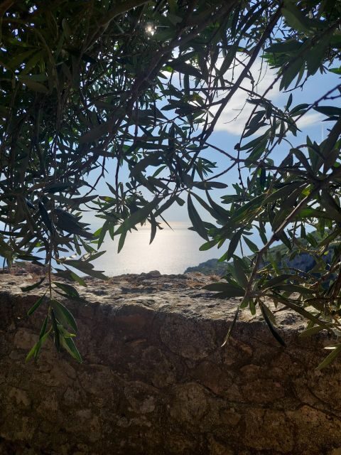 Corfu: Hiking in Olive Groves,Village,Sunset,with Swim Stop - Practical Information and What to Expect