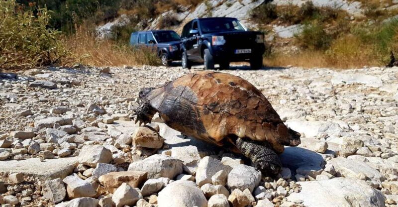 Corfu: Mount Pantokrator Shore Excursion - In-Depth Look at the Itinerary