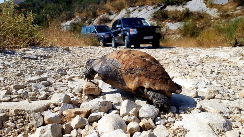 Corfu: Mount Pantokrator Shore Excursion - Price and Value