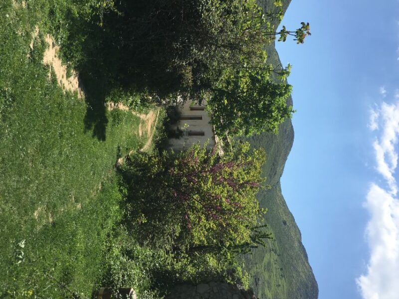 Corfu: Northwest Coast and Village Charms 4x4 Tour - Who Will Love This Tour?