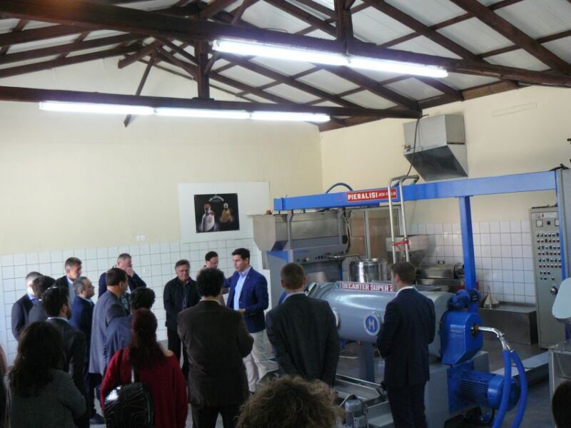 Corfu: Olive Oil Experience - The Governor's Olive Mill - Final Words
