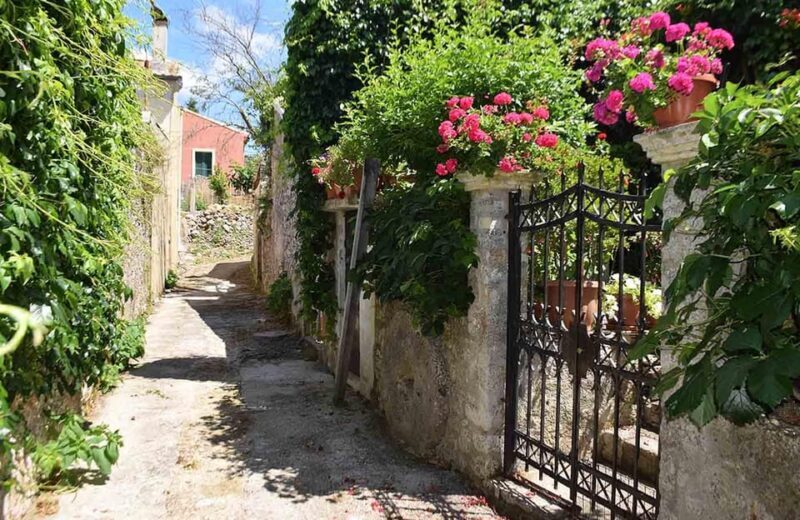 Corfu: Olive Oil & Wine Tastings & Traditional Villages Tour - Who Will Love This Tour?