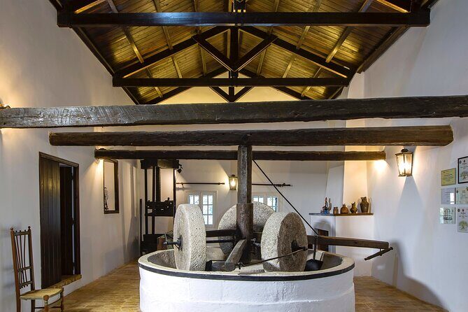 Corfu Organic Olive Oil Tasting at Family Farm - Final Thoughts