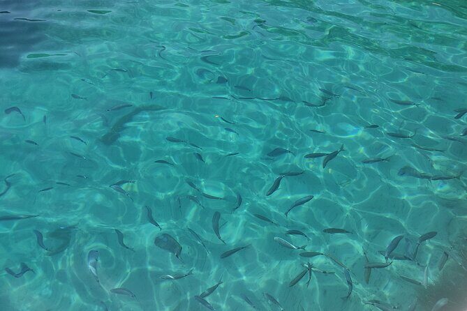 Corfu Private Boat Tour - Who Is This Tour Best For?