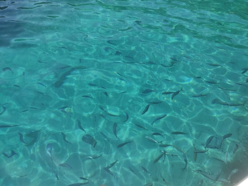 Corfu: Private Boat Tour - The Itinerary: What Can You Expect?