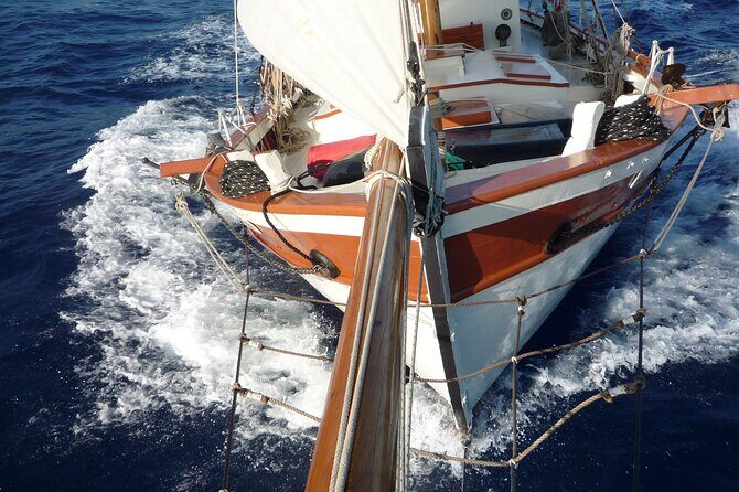 Corfu Semi Private Cruise to Paxos and Antipaxos Islands - Who Is This Tour Best For?