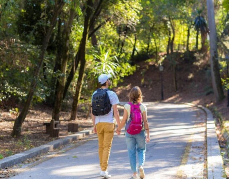 Corfu: Shared Group or Private Food Walking Tour - The Sum Up: Who Will Love This Tour?