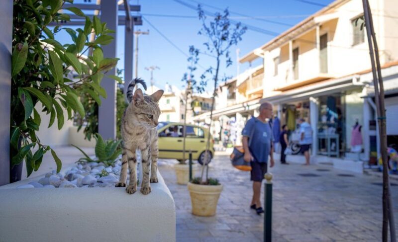 Corfu: Shore & Shared Tour  Kassiopi & Canal dAmour - Value & Practicalities