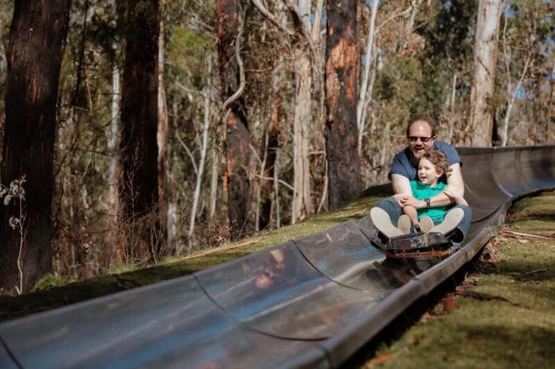 Corin Forest: Alpine Slide Ticket - Practical Details & Tips for a Great Visit