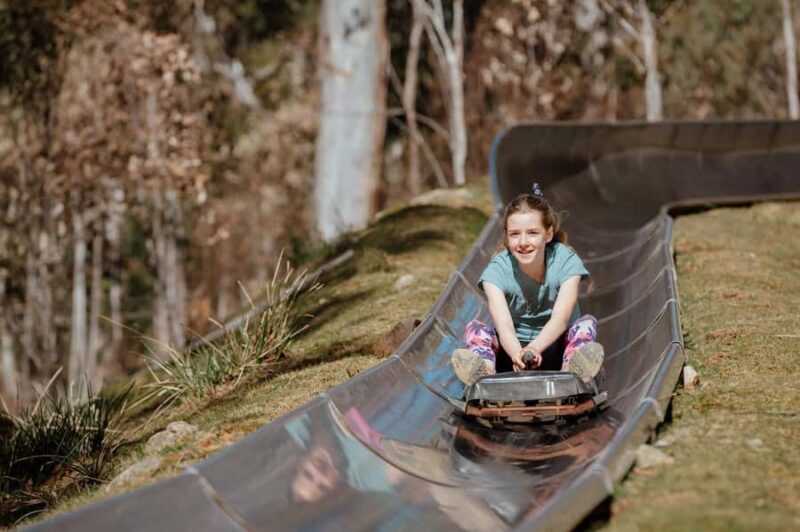 Corin Forest: Alpine Slide Ticket - Is It Worth the Price?