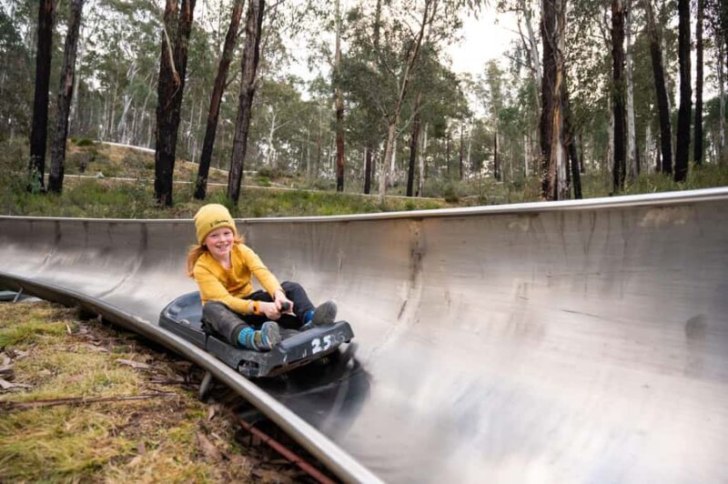 Corin Forest: Alpine Slide Ticket - FAQ