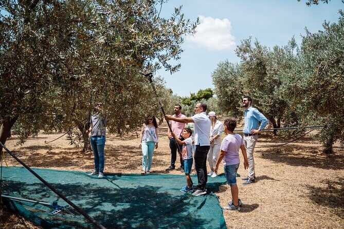Corinth & Olive Oil Tasting Private Tour from Athens - Key Points