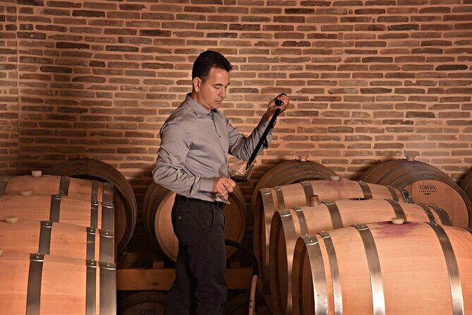 Corinth Winery Tour and Organic Fine Wine Tastings - Corinth Winery Tour and Organic Fine Wine Tastings Review