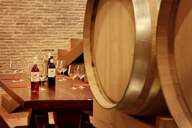 Corinth Winery Tour and Organic Fine Wine Tastings - Who Should Book This Experience?