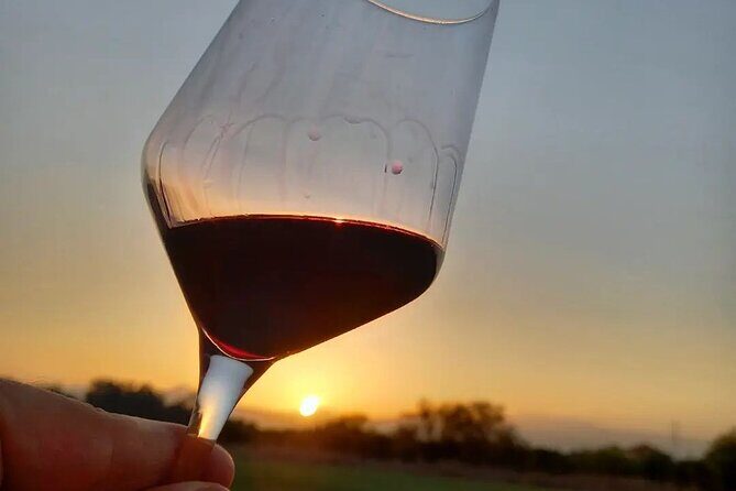 Corinth Winery Tour and Organic Fine Wine Tastings - Final Thoughts