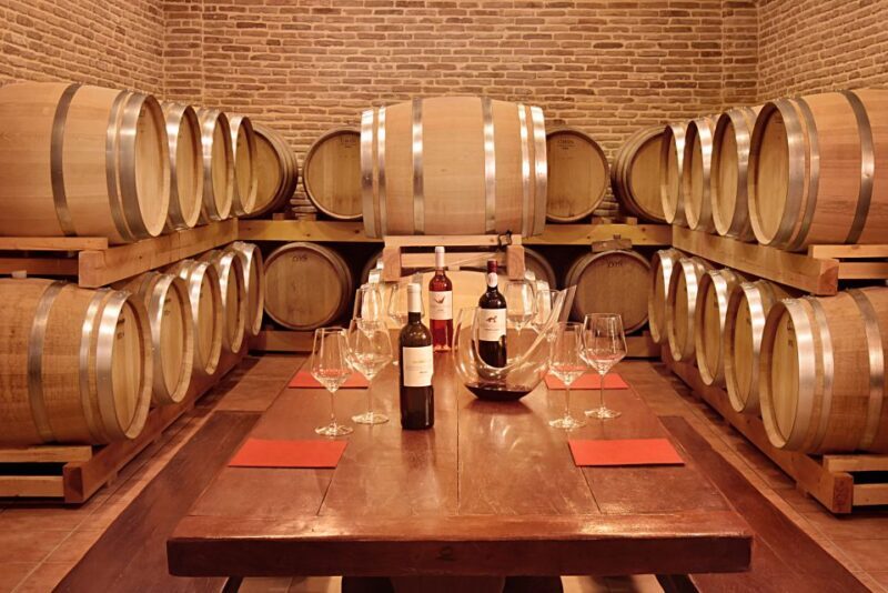 Corinth: Winery Tour and Organic Fine Wine Tastings - The Guided Tour and Winemaker’s Insights