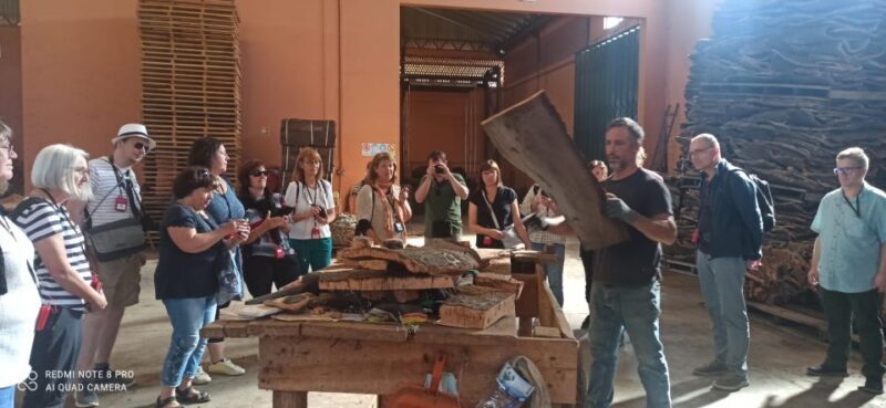 Cork Factory Tour - An In-Depth Look at the Cork Factory Tour