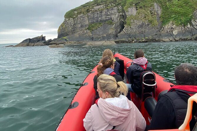 Cork Harbour RIB Tour - The Sum Up: Who Is This Tour Best For?