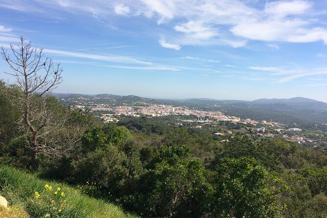 Cork Secrets - Key Points