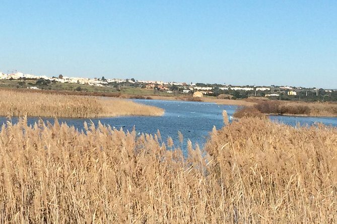 Cork Secrets - A Closer Look at the Cork Secrets Tour