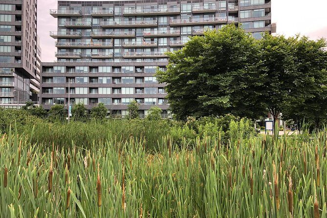 Corktown and Distillery District Tour - Introduction