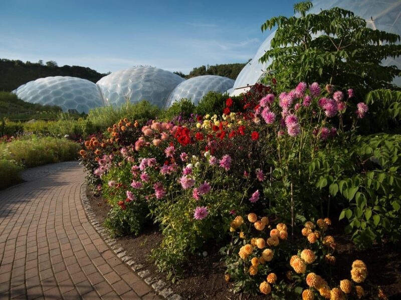 Cornwall: Eden Project Entry Ticket - What is the Eden Project? A Brief Overview