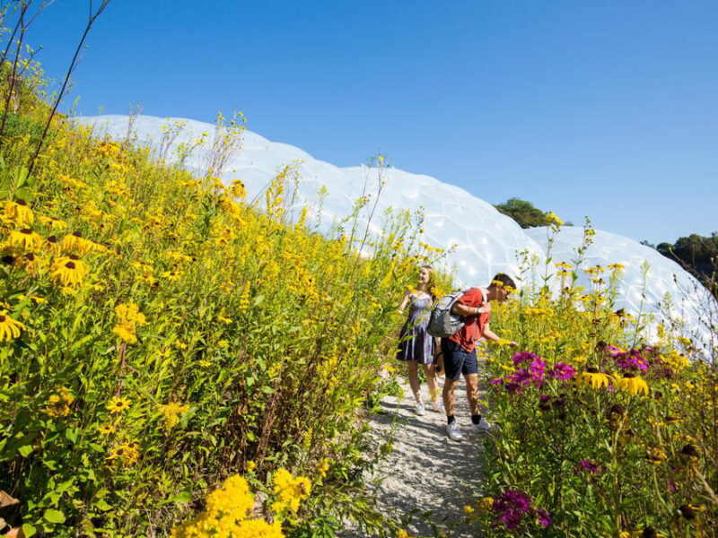 Cornwall: Eden Project Entry Ticket - Accessibility and Practical Tips