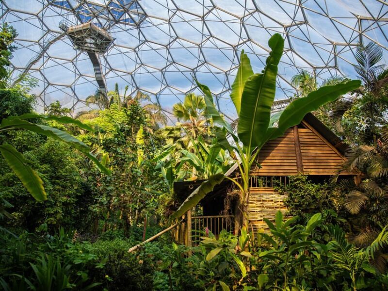 Cornwall: Eden Project Entry Ticket - Authentic Visitor Insights