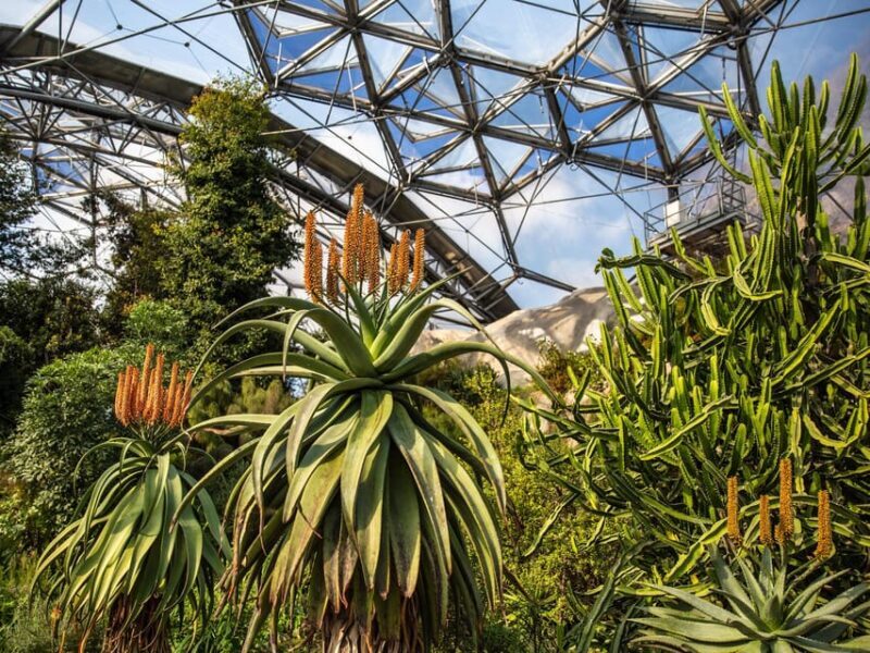 Cornwall: Eden Project Entry Ticket - Who Is This Tour Perfect For?