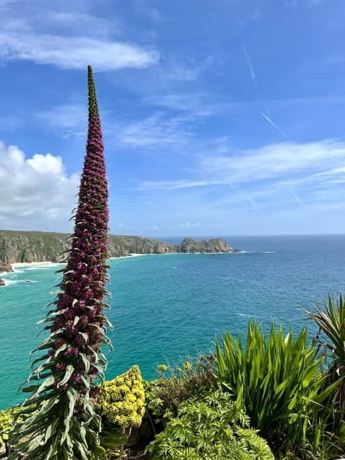 Cornwall: Private Guided Tour - Who Is This Tour Best For?