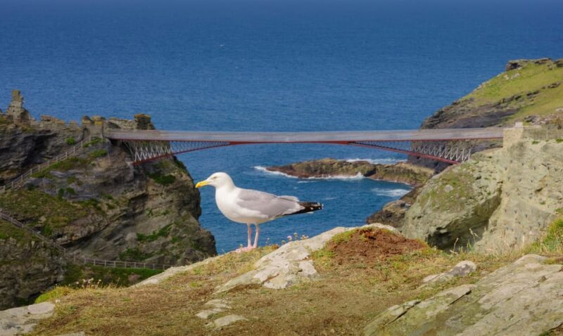 Cornwall: Tintagel Castle Entry Ticket - Authentic Experiences from Other Travelers