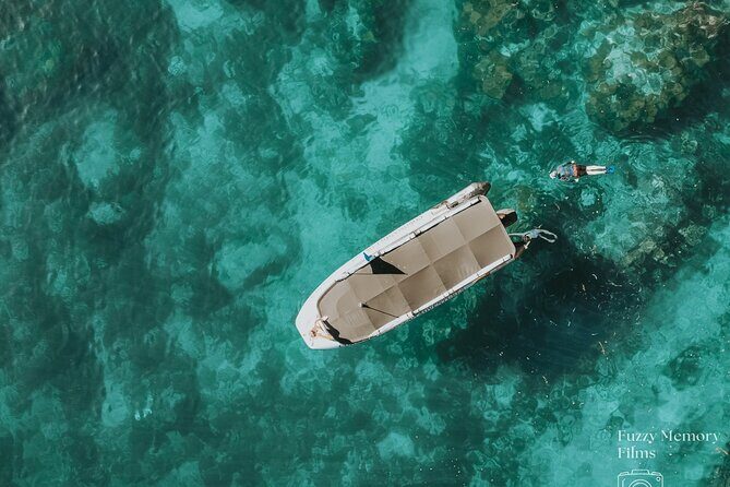 Coromandel Adventure and Wildlife Boat Tour to Aldermen Islands - Key Points