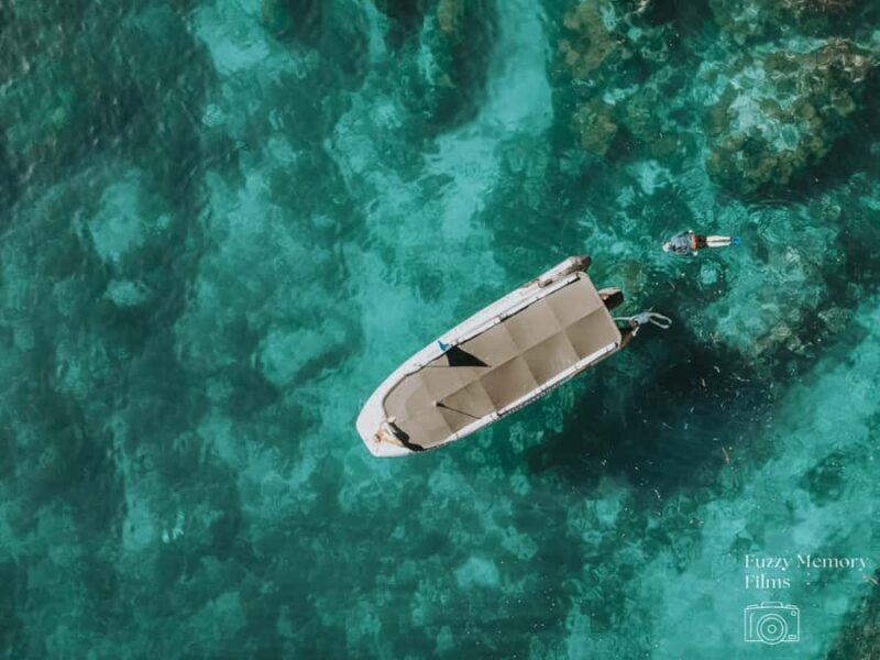 Coromandel: Aldermen Islands Marine Reserve Wildlife Cruise - An Overview of the Experience