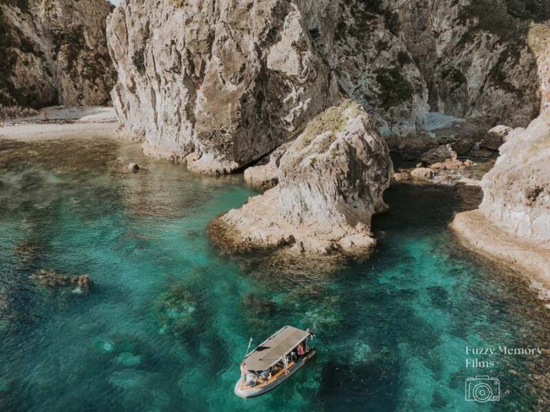 Coromandel: Aldermen Islands Marine Reserve Wildlife Cruise - The Itinerary: What You Can Expect