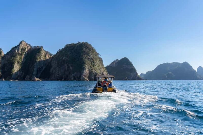 Coromandel: Aldermen Islands Marine Reserve Wildlife Cruise - The Sum Up