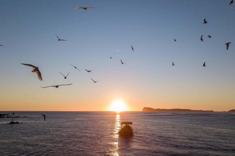 Coromandel: Aldermen Islands Marine Reserve Wildlife Cruise - FAQ