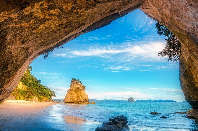 Coromandel Cathedral Cove and Hot Water Beach - Overview of the Tour Experience