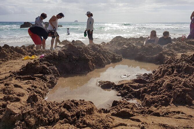 Coromandel Cathedral Cove and Hot Water Beach - The Sum Up