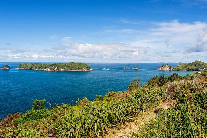 Coromandel Cathedral Cove and Hot Water Beach Tour from Auckland - FAQ