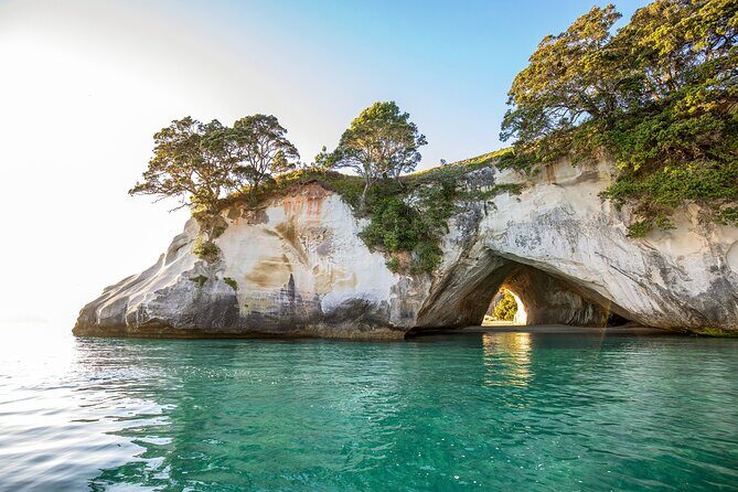 Coromandel Cathedral Cove Walk & Hot Water Beach Day Tour - Final Thoughts: Who Will Love This Tour?