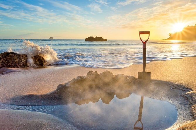 Coromandel Coastal Experience - Small Group Tour from Auckland - Key Points